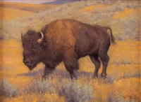 John Demott | Artnet