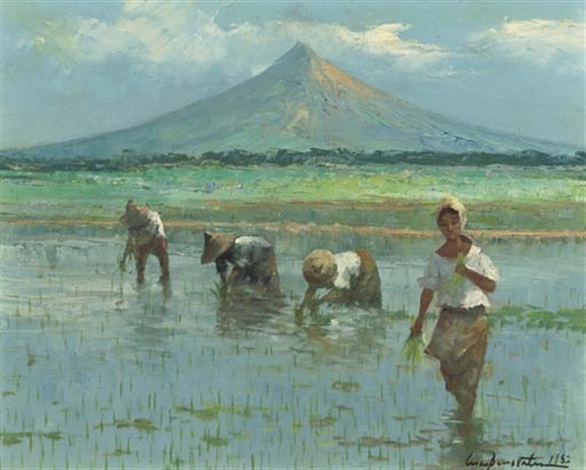 Planting Rice With Mayon Volcano