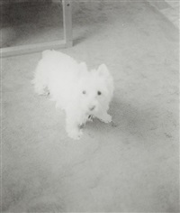 Jan Groover | Artnet