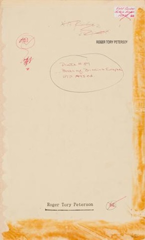 Woodpeckers, Finches And Common Snipe by Roger Tory Peterson on artnet