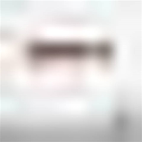 Savason 15 by David Shapiro on artnet