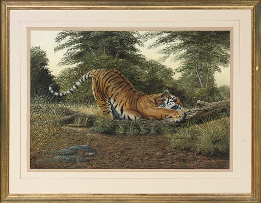 Afternoon stretch by Peter Jepson on artnet