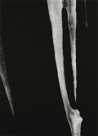 Sequence 16 Steely the Barb of Infinity by Minor White on artnet