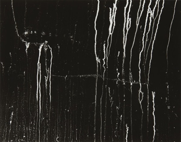 Sequence 16 Steely the Barb of Infinity by Minor White on artnet