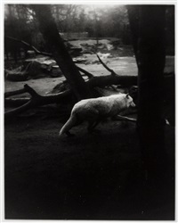 Becky Beasley | Artnet