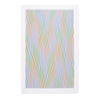 Bridget Riley | Artnet | Page 11
