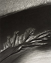 Ruth Bernhard | Artnet | Page 2