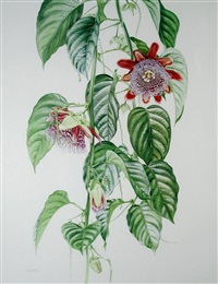 Siriol Sherlock | Artnet