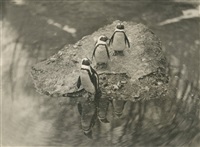 Lewis L. Wong | Artnet