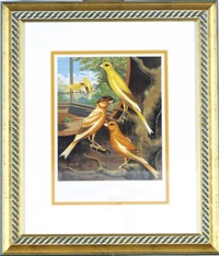 William Rutledge | Artnet