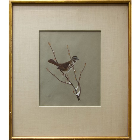 SONG SPARROW by James Fenwick Lansdowne on artnet