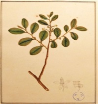 William Roxburgh | Artnet