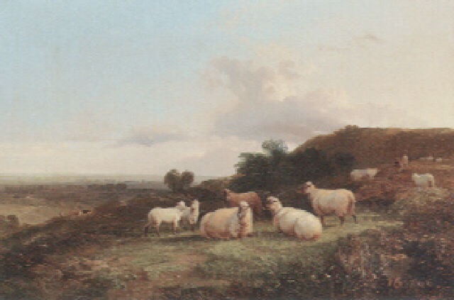 Sheep in a landscape by George Cole on artnet