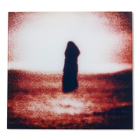 Michal Rovner | Artnet