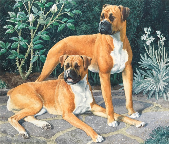 Two Boxer Dogs by Charles Frederick Tunnicliffe on artnet