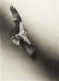 Cole Johnson | Artnet