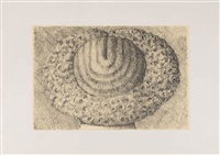 Domenico Gnoli | Artnet