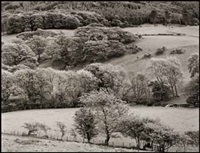 Robert Bourdeau | Artnet