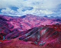 Richard Mosse | Artnet