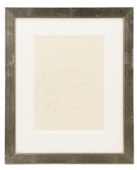 Todd Murphy | Artnet