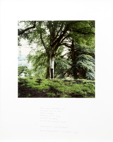 Dark, well composted Tree triptych by Andy Goldsworthy on artnet