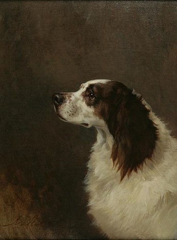 Springer Spaniel portrait by Maud Earl on artnet