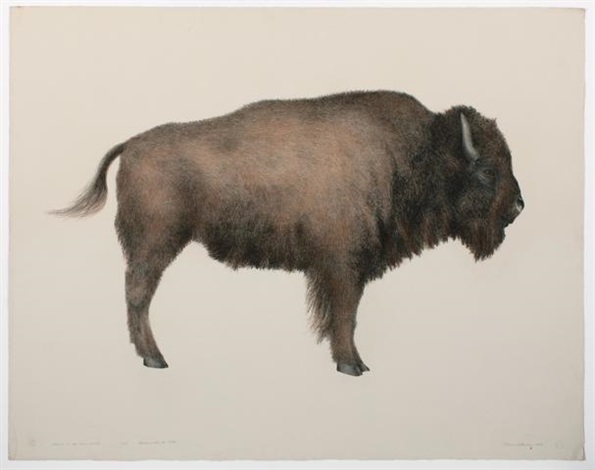 Group of Three Hand Colored Lithographs Buffalo of the Third Vision by ...