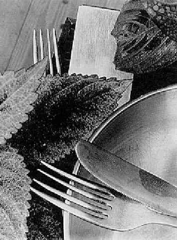 Untitled, no.8870 by Jan Groover on artnet