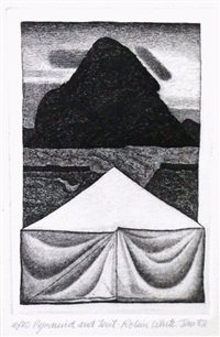 Robin White | Artnet | Page 2