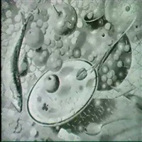 Albert Perry | Artnet