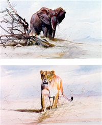 Allan Carter | Artnet