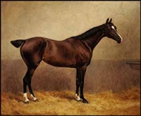 Frank Paton | Artnet