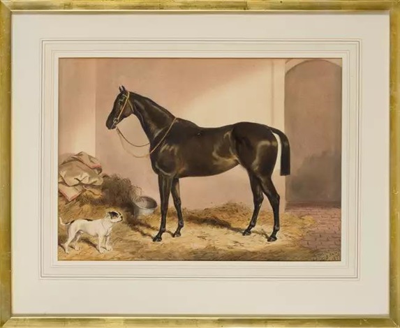 Two portraits of horses in India A Horse and a pug in a stable, Ooty ...