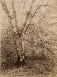 Charles Bodmer | Artnet