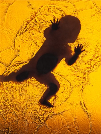 Sans Titre by Adam Fuss on artnet