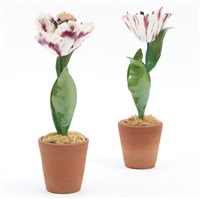 Samuel Mazy | Artnet