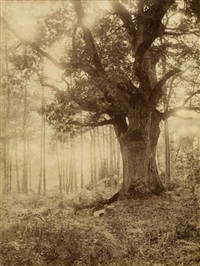 Charles Bodmer | Artnet