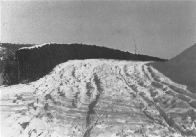 Der Weg im Schnee by Ernst Schieron on artnet