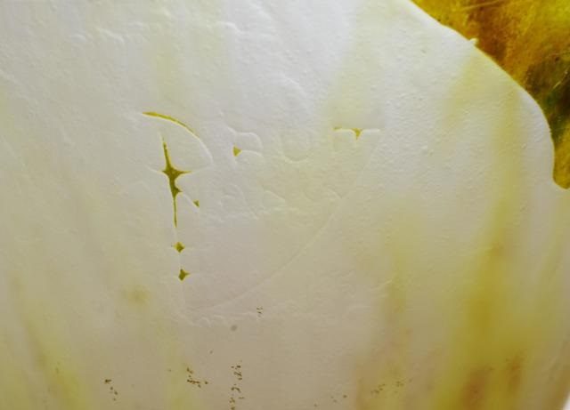 Daum, Nancy, Cameo Glass Vase with Berries Vines by Daum (Co.) on artnet