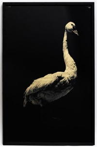 Todd Murphy | Artnet