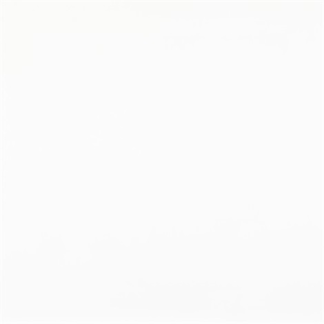 TUBEROUS PLANTS GIRL by Backside works. on artnet