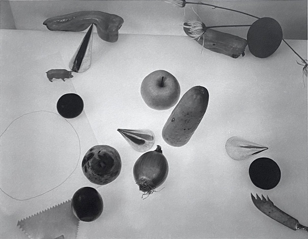 Nature morte by Jan Groover on artnet