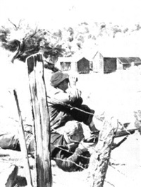 Malvin Singer | Artnet