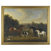 Thomas Gooch | Artnet