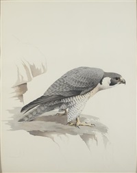 Frederick William Wetzel | Artnet