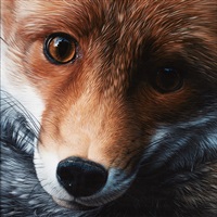 Christophe Drochon | Artnet