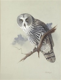 Frederick William Wetzel | Artnet