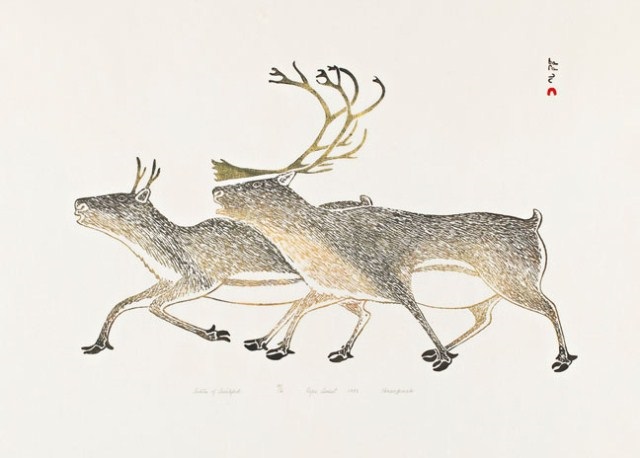Tuktu of Tasikjuak 13 by Kananginak Pootoogook on artnet