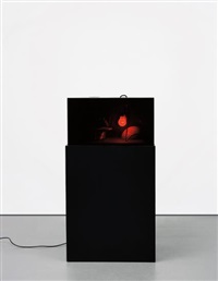 Fergal Stapleton | Artnet