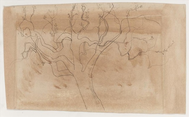 Olive tree by Ben Nicholson on artnet